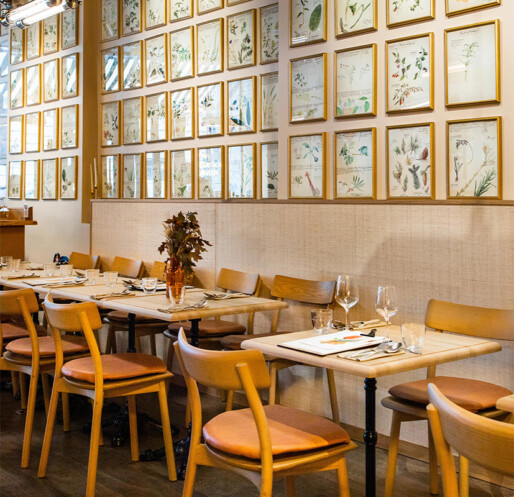 Restaurants Alain Ducasse à Paris